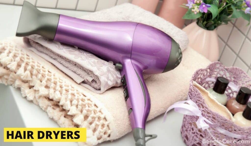 11 Things Beagles are Scared of and How to Deal with Them - Beagle Care