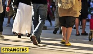 11 Things Beagles are Scared of and How to Deal with Them - Beagle Care